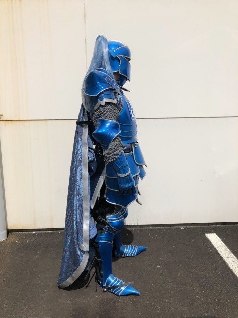 Bud Light Knight